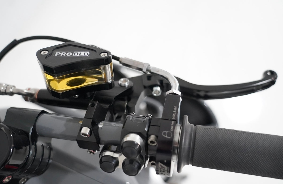 Ruckus Disc Brake Front End Conversion Kit (ProBld) - All in One ...