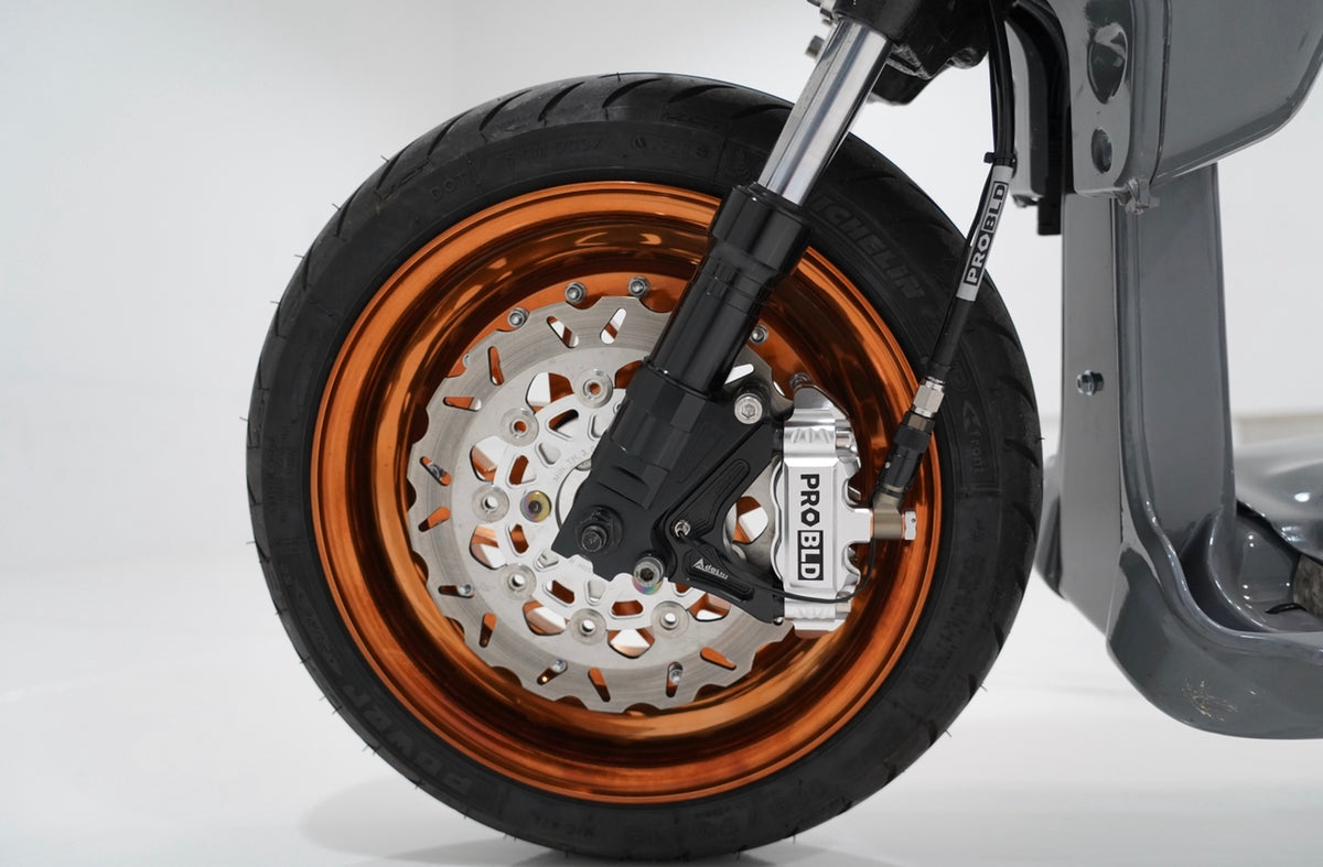 Ruckus Disc Brake Front End conversion Kit [ProBld] - ALL IN ONE ...